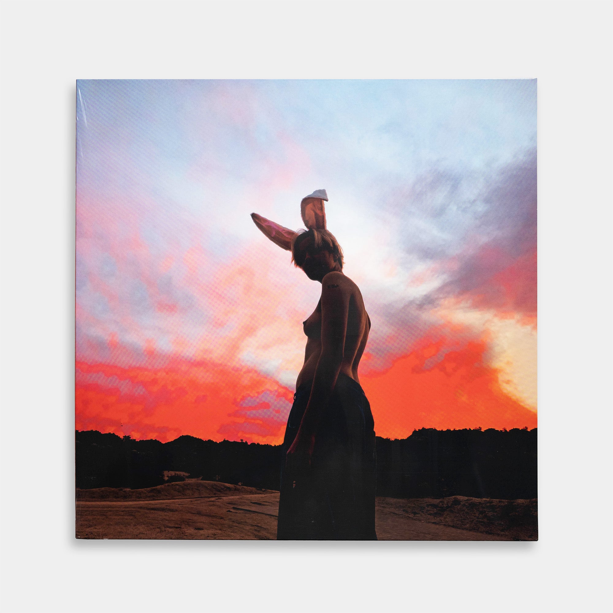 Biig Piig - The Sky Is Bleeding【レコード】 – Staghorn Records